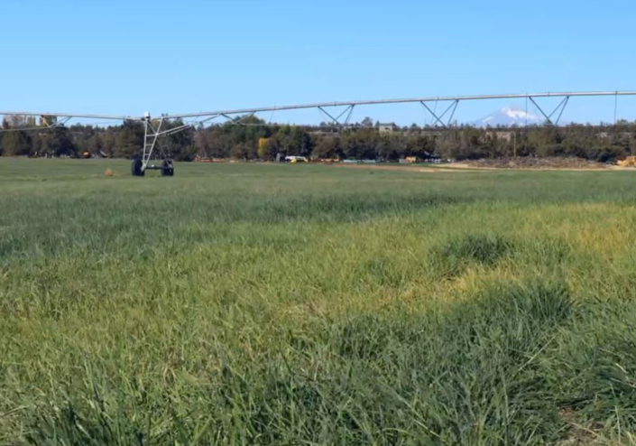 Central Oregon Irrigation District – COID Piping